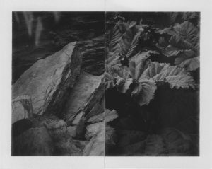 Cyrus Mahboubian, Polaroids/Composites - Artvisor
