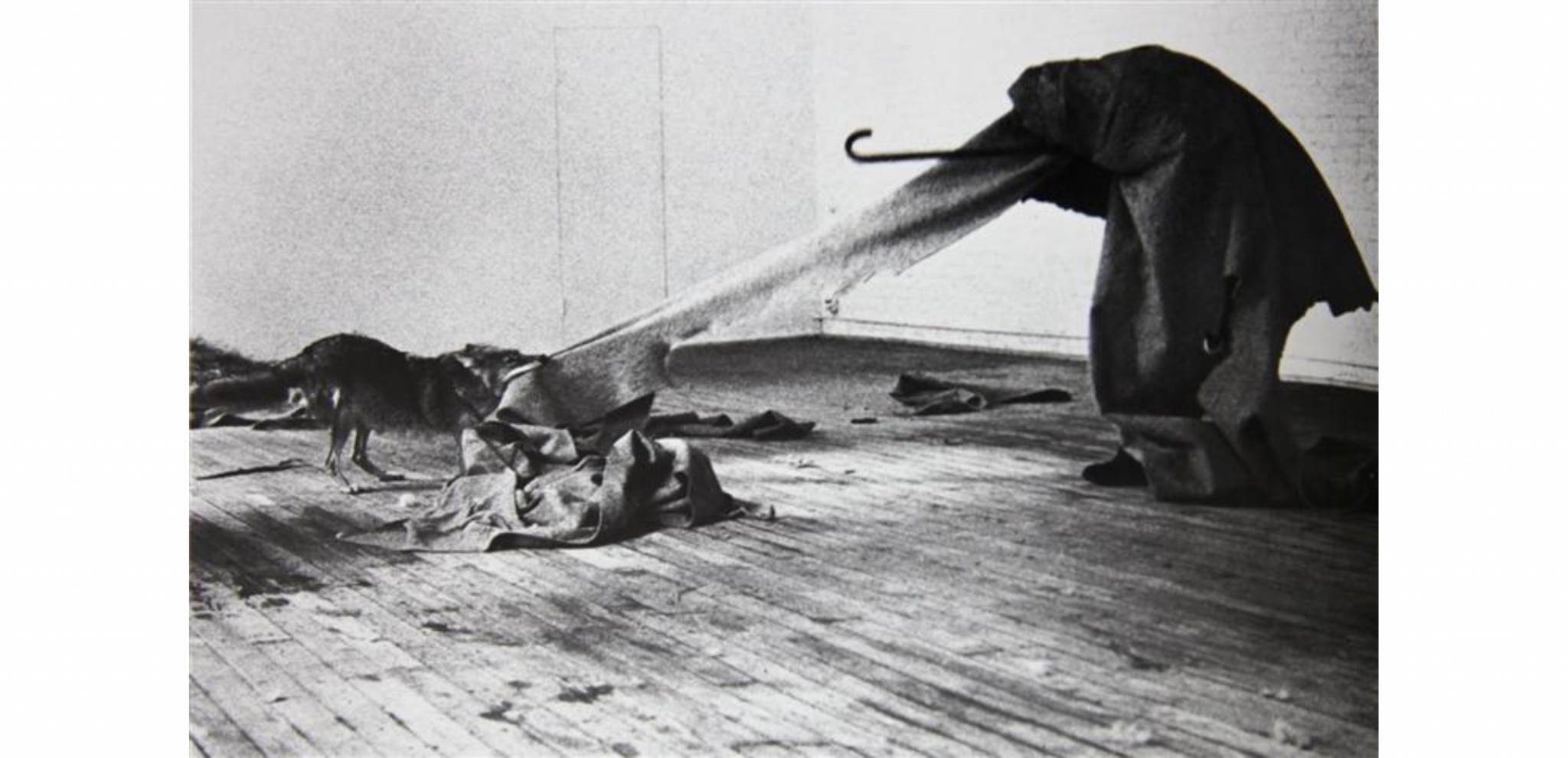 Joseph Beuys - Artist Profile - Artvisor